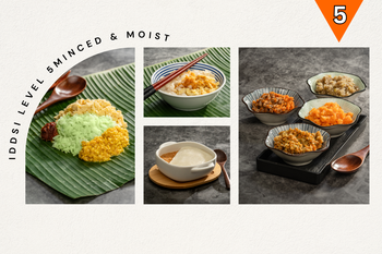 IDDSI Level 5 Minced and Moist – A Guide to Safe Eating for Individual ...