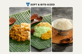 Navigating IDDSI Level 6: Soft and Bite-Sized Foods – GentleFoods