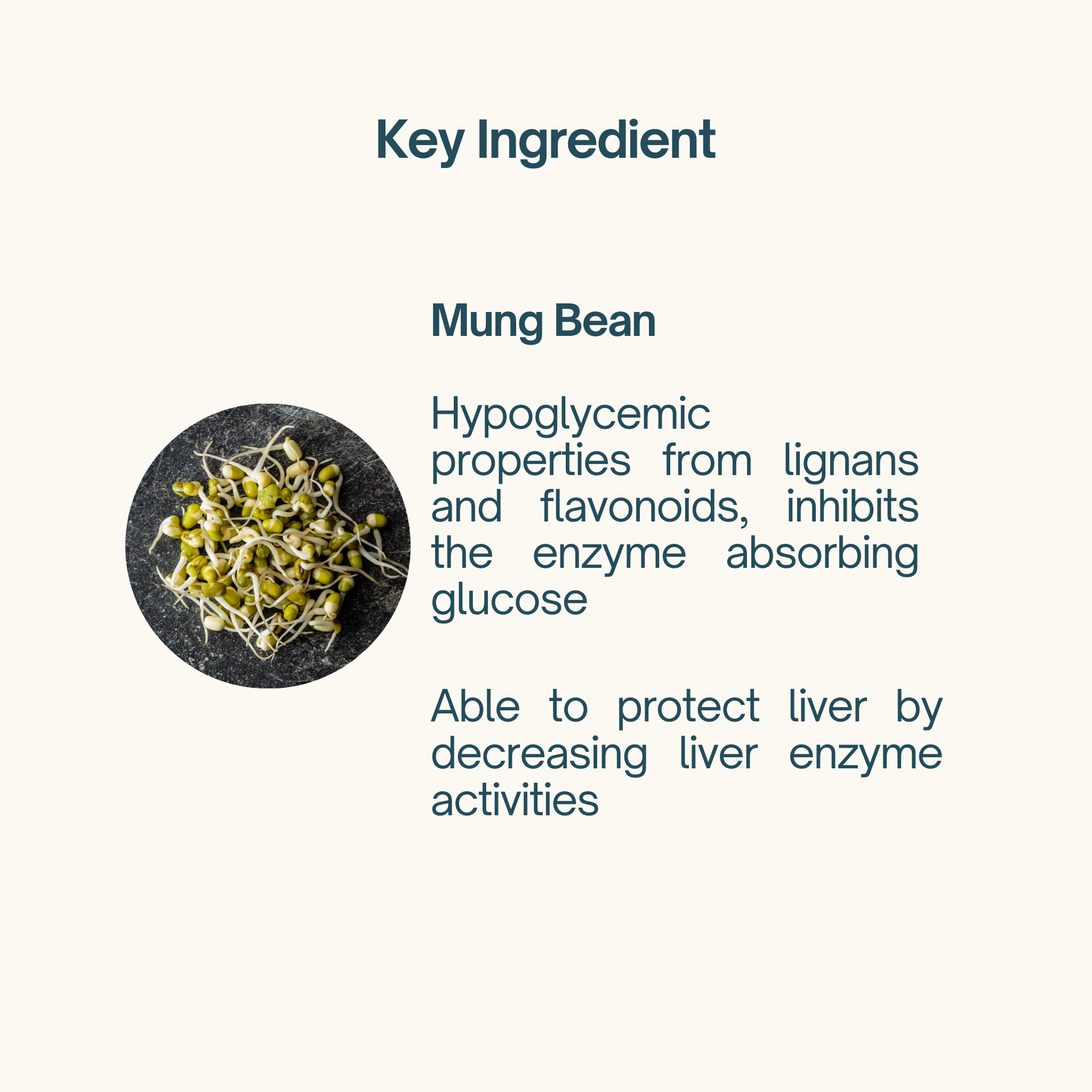 Ang Ku Kueh | Soft Textured Local Meal | GentleFoods